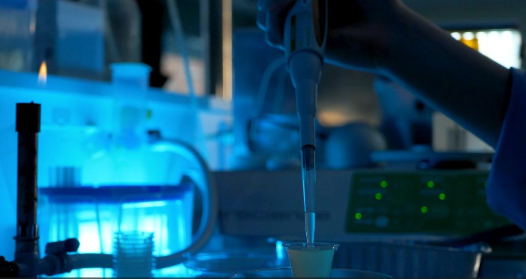 Our expertise | Frial